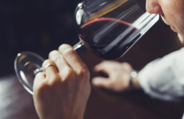 Restaurants, wine tasting, special events - Why Booking in Pistoia